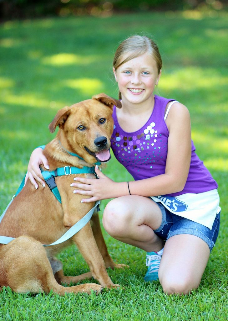 Mission Statement | The Humane Society of Greenwood
